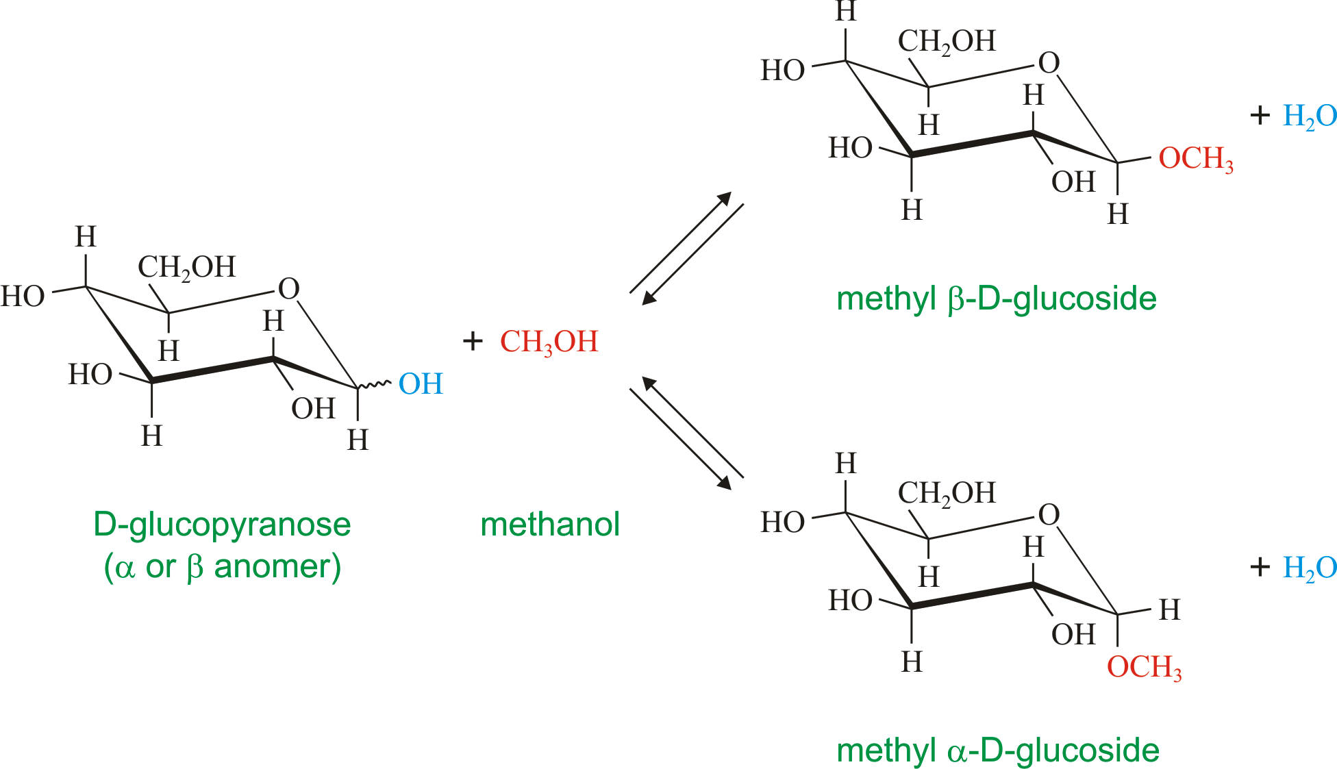 Glycoside là gì? Chi tiết một số thông tin cần biết